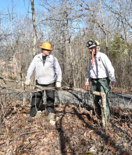 Forest Thinning Techniques for Wildlife Habitat - Grit